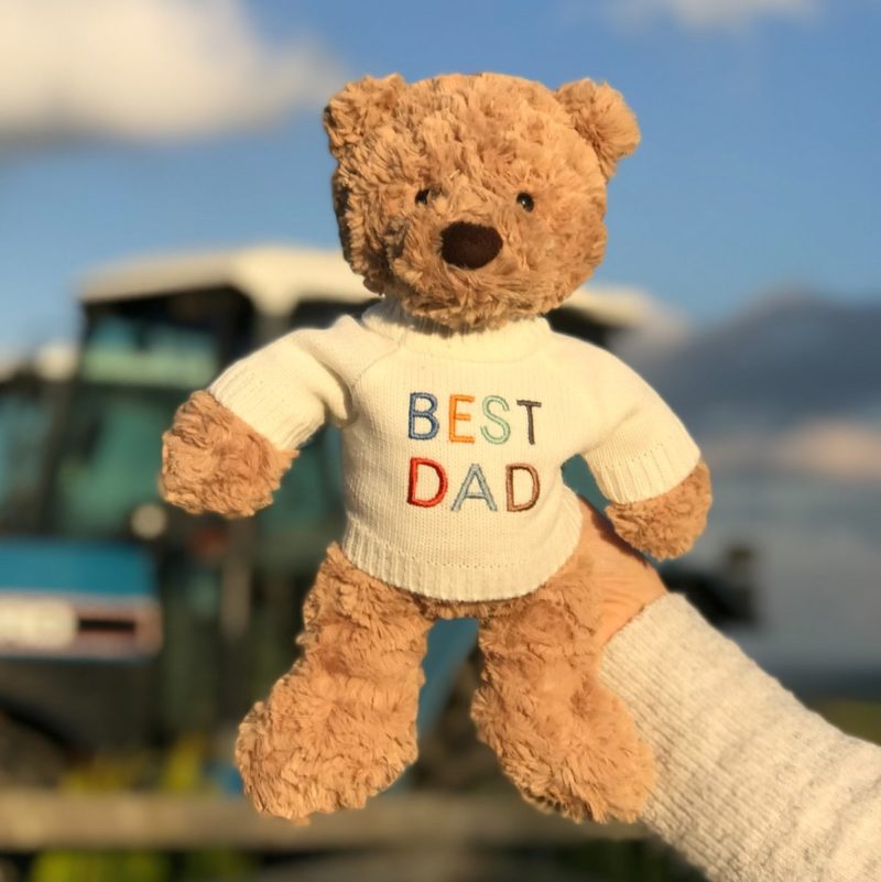 Father's Day Best Dad Jellycat bumbly teddy small soft toy | That's mine