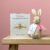 Flopsy Bunny soft toy rattle and The tale of the Flopsy Bunnies book ...
