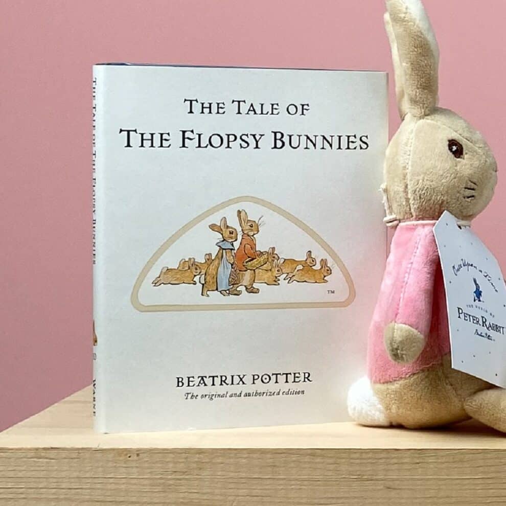 Flopsy Bunny soft toy rattle and The tale of the Flopsy Bunnies book ...