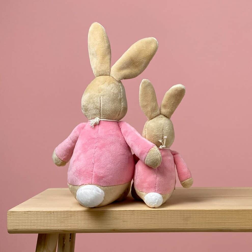 Flopsy Bunny soft toy rattle and The tale of the Flopsy Bunnies book ...
