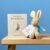 Peter Rabbit soft toy rattle and The tale of Peter Rabbit book | That's ...