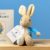 Peter Rabbit soft toy rattle and The tale of Peter Rabbit book | That's ...