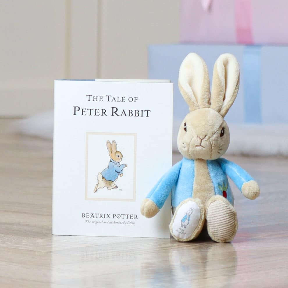 Peter Rabbit soft toy rattle and The tale of Peter Rabbit book | That's ...