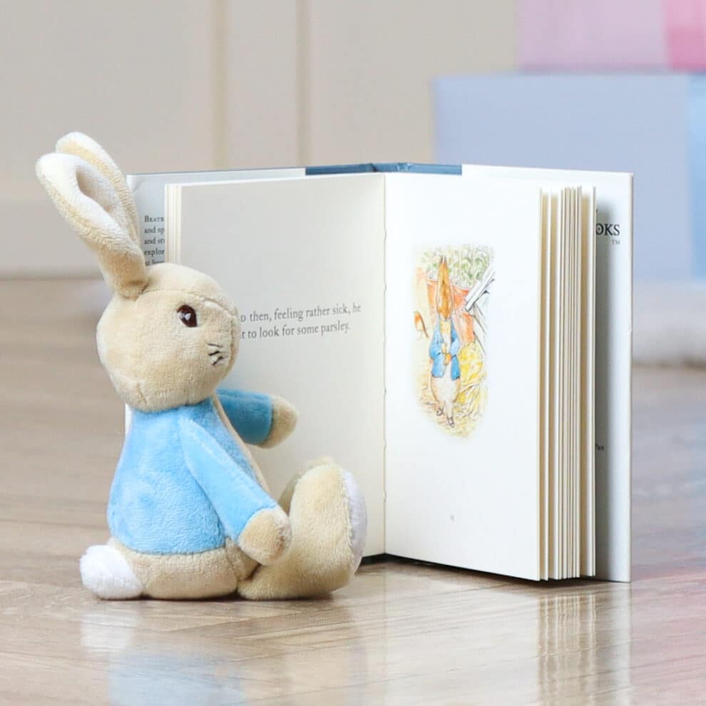 Peter Rabbit soft toy rattle and The tale of Peter Rabbit book | That's ...